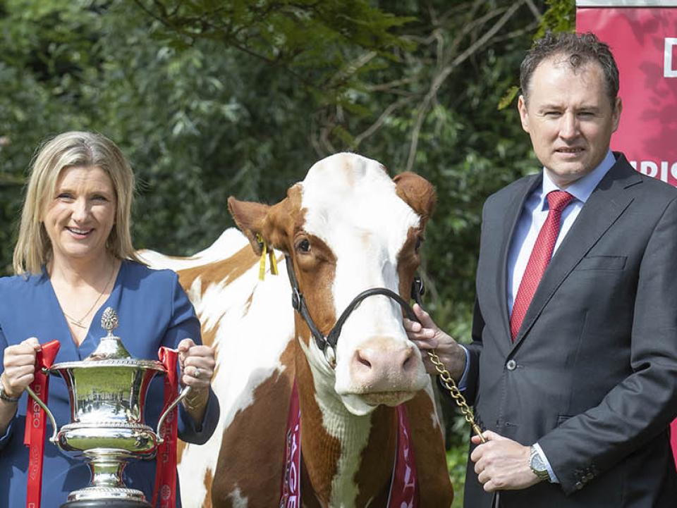 2023 Baileys Cow Competition opens with new €13,000 Prize Fund | Tirlán ...