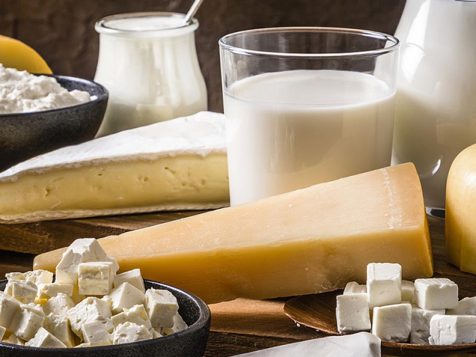 What is Lactose and how is it processed? | Tirlán Ingredients