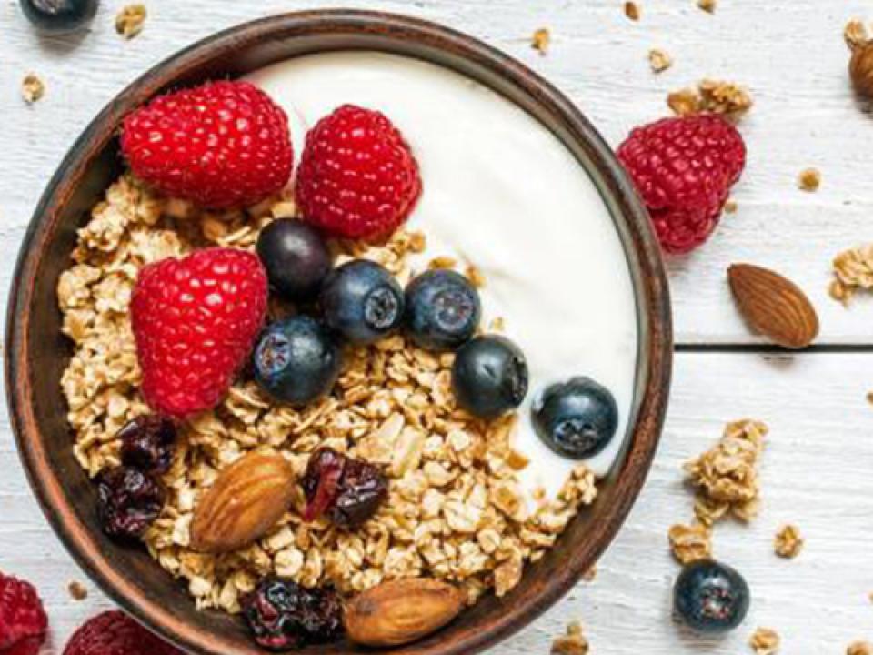 Opti-Yo High Protein Yoghurt 8502 | Tirlán Ingredients